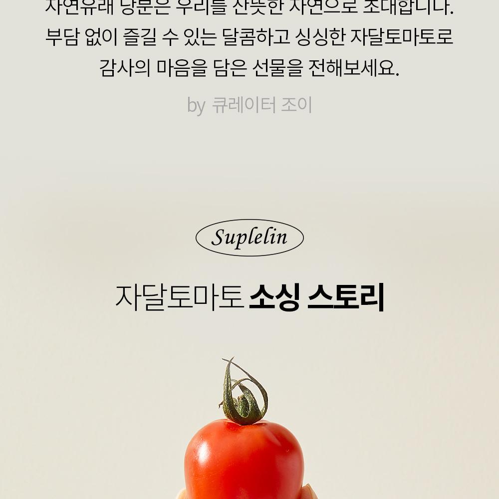 Unique Sweet & Tart Stevia Cherry Tomatoes (500g2 packs, 1kg) In South ...